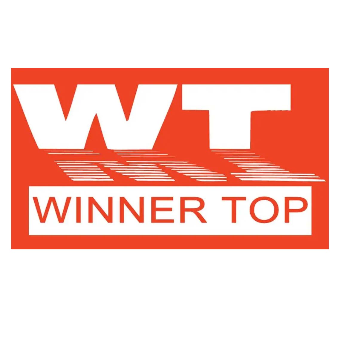 WT集团简介-WT集团成立时间|总部|股票代码-排行榜123网